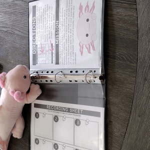 Escape Room for Kids - Mad Scientist Mystery - Printable Escape Room ...