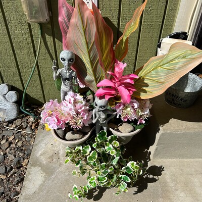 Rude Alien Statue flipping the Bird 10 H Shelf Sitter - Etsy