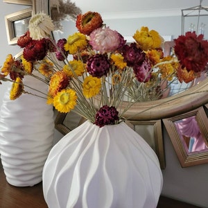 Preserved Lycopodium Bunchdried Princess Pine Grassdried - Etsy