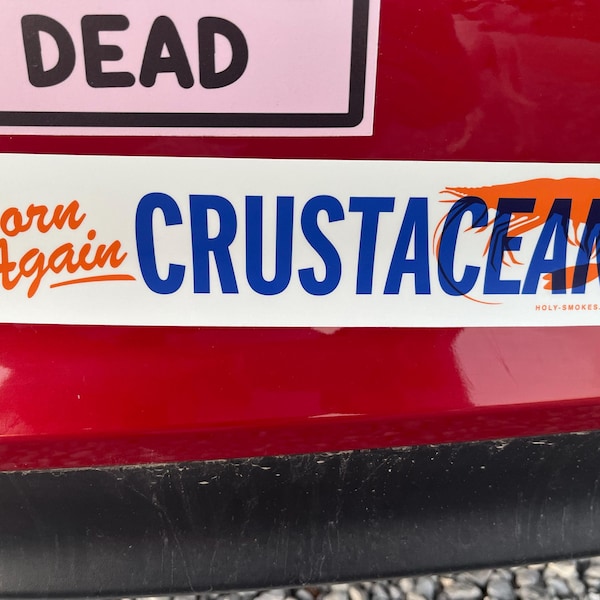 Born Again Crustacean Bumper Sticker - Etsy