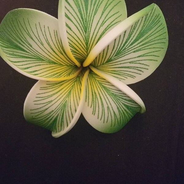 Kiki/titi Fulumoa. Samoan Costume Kiki (overskirt). Perfect for All ...