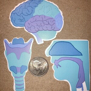 Speech Room Décor Rainbow Road Color Theme Rainbow Theme - Etsy