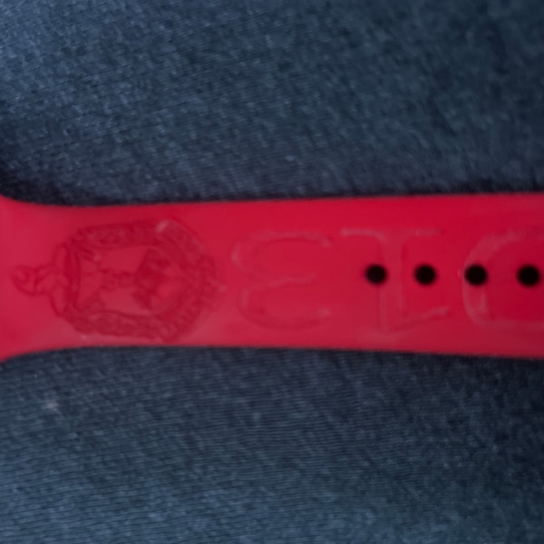 Delta Sigma Theta Customizable Watch Band | Delta Band | Delta Sigma ...