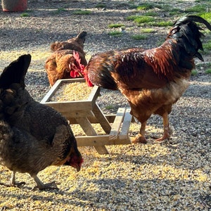 One Picket Chicnik Table Plans, Digital Plans, Chicken Table, Chicken ...