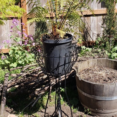 Wrought Iron 25 Cone Topiary Flower Trellis, Metal Plant Climber ...