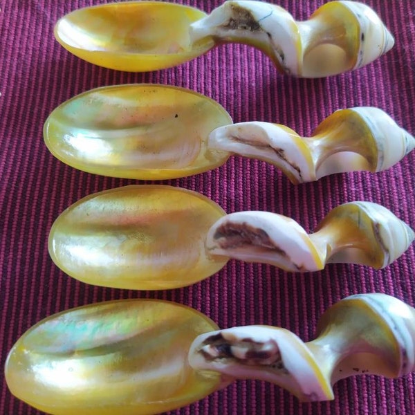 Customized Pastel Colors Capiz Shells Doorway Curtain, Beaded Shells ...