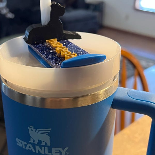 Yes / No Fidget Clicker | Autism | Sensory Fidget Toy | ADHD | Stress ...