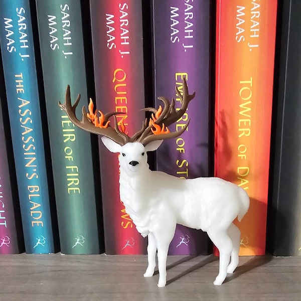 Acotar Inspired Book Nook| Fantasy Books | Bat Boys | Reading Gifts ...