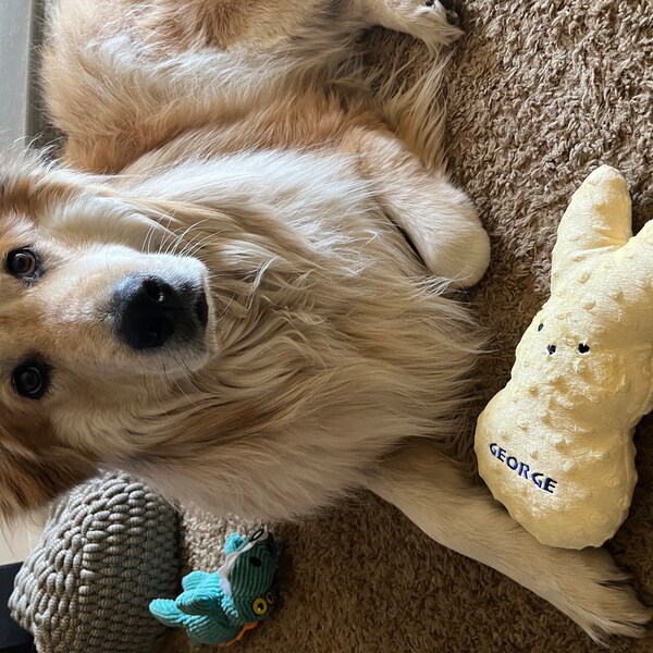 Peeps Plus Dog Toy, Personalized Dog Toy With Squeaker, Dog Toy, Cute ...