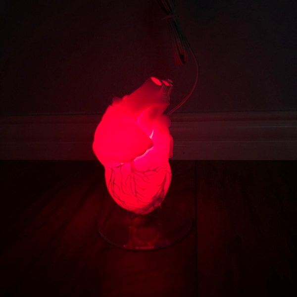 Human Heart - 3D Printed Accent Lamp, Anatomical, Table Lamp, Novelty ...