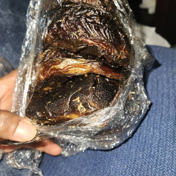 Ebevbarie/ Dried Fish/ 8 Pieces - Etsy