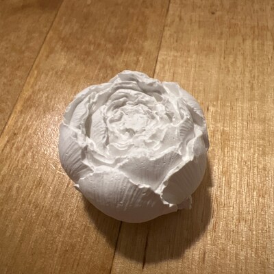 Mermaid Talisman, Sea Ocean Real Shell Bead Chain Sea Terrarium ...