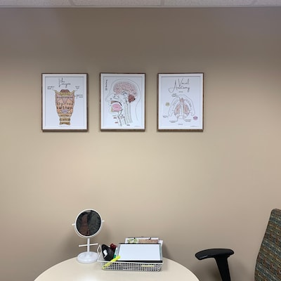 Anatomy & Physiology SLP Labeled Posters Set of 3 Speechie Educational ...