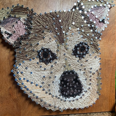 White Shark String Art Wall Hanging Shark Decor Handmade - Etsy