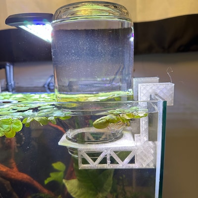 Inverted Betta Tank Holder, Panoramic View for Betta Fish, 360 View for ...