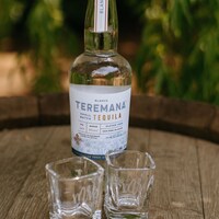 Wild One Backdrop Sign Laser Cut Acrylic First Birthday Wall - Etsy ...