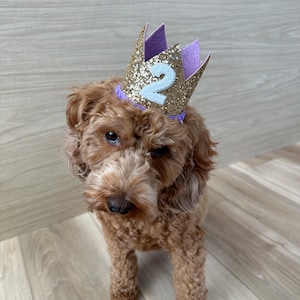 Dog Birthday Crown Pet Birthday Crown Dog Crown Pet Crown Dog Party Hat ...
