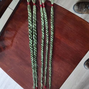Fresh Cut Sweetgrass Bundle - Etsy