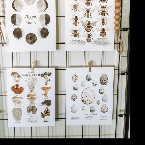 Educational Print - Printable Nature Art - A4 and 8 X 10 - Native Bees ...