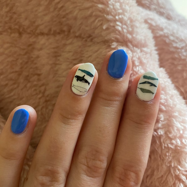Whale Nail Transfers - Illustrated Nail Art Decals - Orca , Narwhal ...