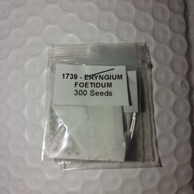 Chorisia Speciosa 10 Seeds Seeds Ceiba Speciosa Tree Bottle of False ...