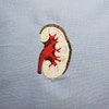 Organs Anatomy Embroidery Design Machine Instant Download - Etsy