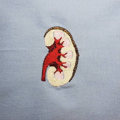 Organs Anatomy Embroidery Design Machine Instant Download Commercial ...