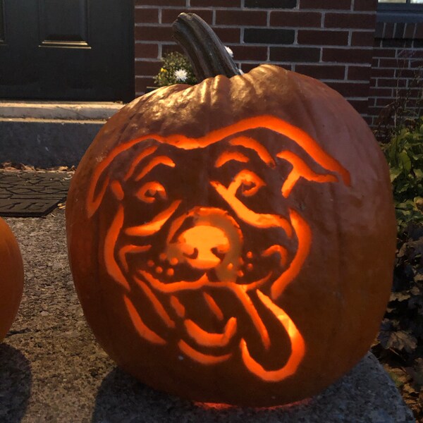 Printable Pumpkin Carving Pattern: Pit Bull, American Bulldog, Happy ...