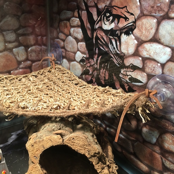 Raptor in the Wall Scratch Svg / Velociraptor Dinosaur Sharp Claws Clip ...