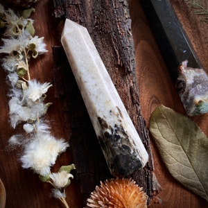 Polychrome Jasper Palm Stone Polychromatic Jasper Stone From - Etsy