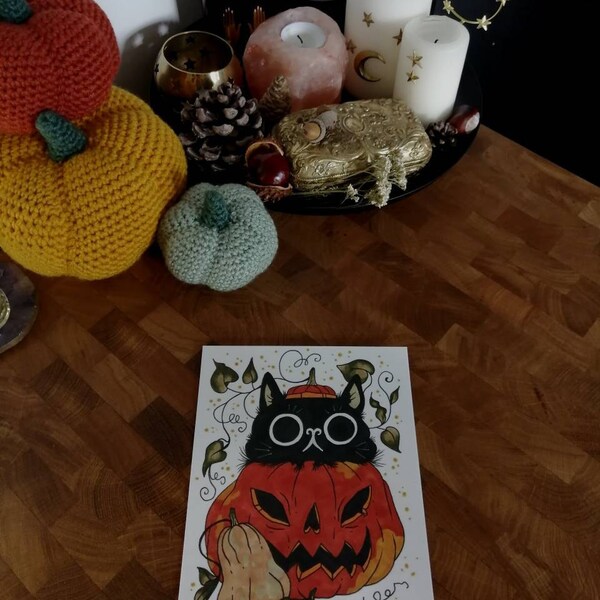 Paw of Light Tarot Deck - Etsy