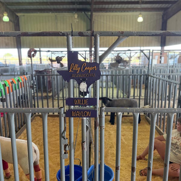 Custom State Shaped FFA Pig Stall Sign: Birch Wood Animal Name Tag, FFA ...