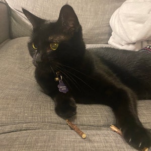 20 Ct Mini Matatabi Cat Chew Sticks All Natural Catnip Alternative ...