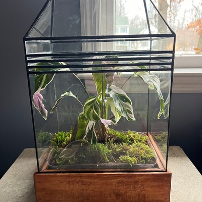 Gazebo Terrarium - Etsy
