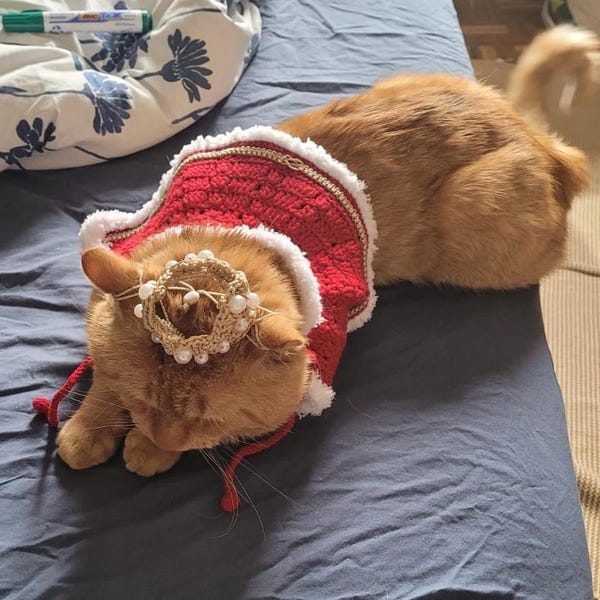 Cat Lady Bow Costume, Bonnets for Cats, Princess Dress for Pets ...