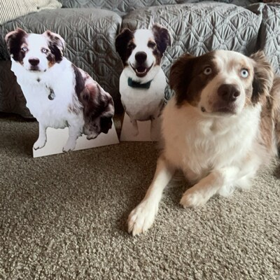 Custom Life Size Cardboard Cutout Haunted House Prop With Easel on the ...