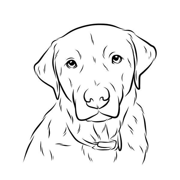 Custom Line Drawing Pet| Dog Portrait INK| Tattoo Commission| Line Art ...