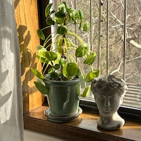 Personalized Greek Goddess Head Planter: Cement Woman Bust Face Pot ...