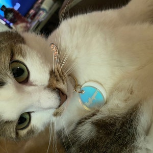 Unique Gothic Pet ID Tags With 'microchipped' Charm, Custom Dog Tag ...