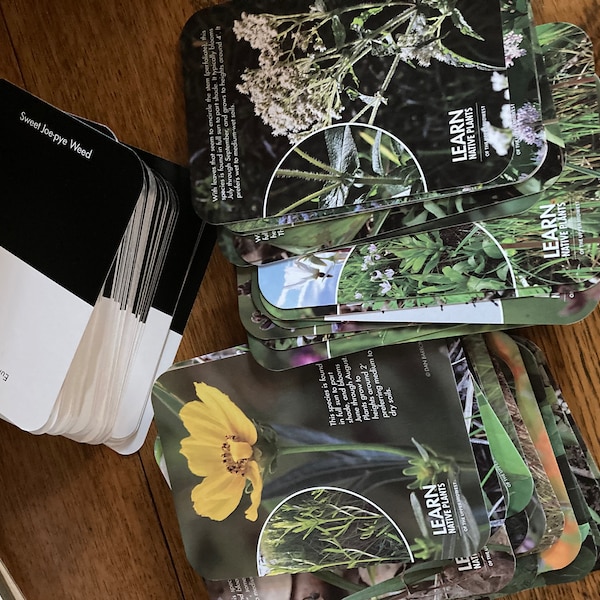 Flash Cards to Learn Native Plant Names, Learn Native Plants of the ...