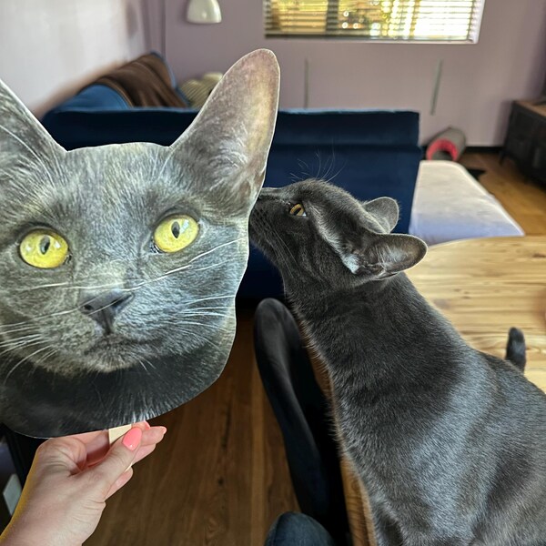 120 Anime Meme Animated Emote Pack for Youtube, Twitch, Discord, Tiktok ...