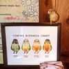 Conure Ripeness Chart Poster - Etsy