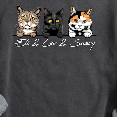 Everything is Under CTRL Comfort Colors Shirt, Computer Programmer T-shirt, Computer Science ...