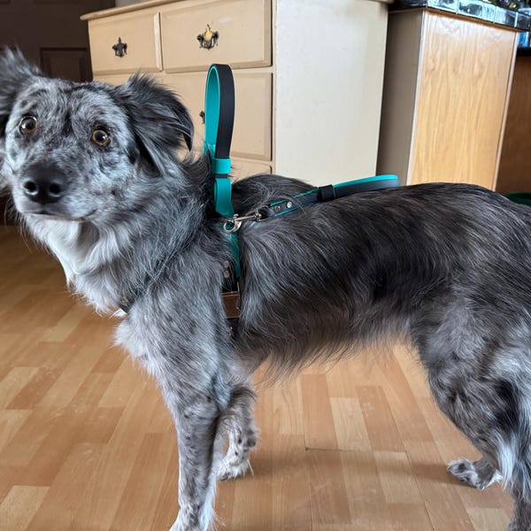 Biothane Dog Grooming Loop Extender, Waterproof Dog Groomer Tools, Dog ...