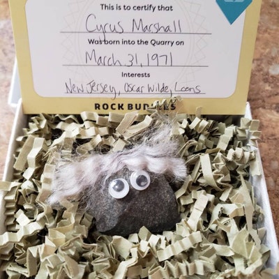 Rock Buddy BOY, Gag Gift, Rock Buddies, Funny Gift, Rock Pet, Anonymous ...