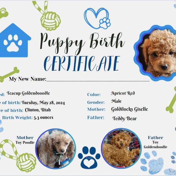 Earthy Boho Rainbow Student Desk Plates | Classroom Name | Decor ...