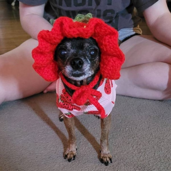 Crochet Red Devil Bonnet - Etsy