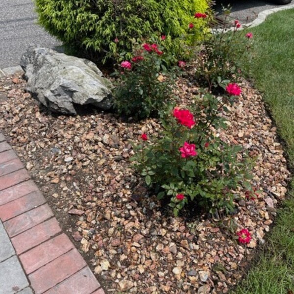 Western Sunset Stone 1.5 1 Gallon Bag - Etsy