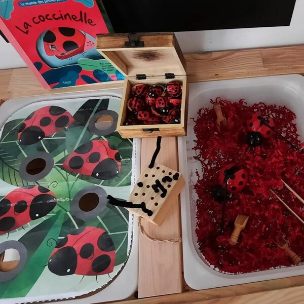 Ladybug Flisat Inserts, Flisat Table, Flisat Insert Printable, Flisat ...