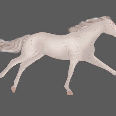 10 Skin Palettes for Procreate, Procreate Skin Palette, Procreate Anime ...